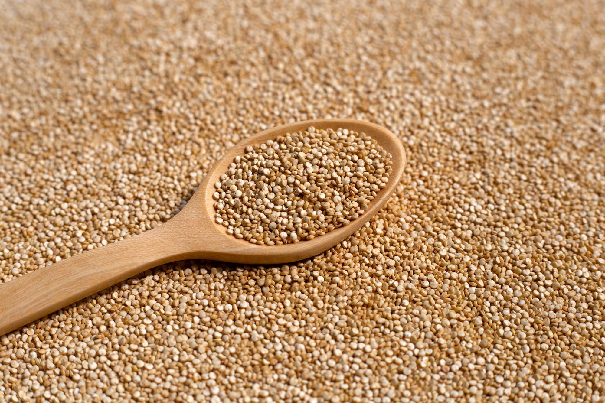Organic Amaranth Grain: Cooking and Baking Ideas - Be Still Farms- Real ...