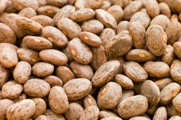 Pinto Beans - Protein and fiber packed beans - Be Still Farms- Real ...